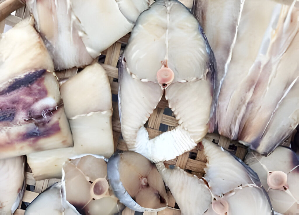 Seer fish (Seela) – kadarkadai